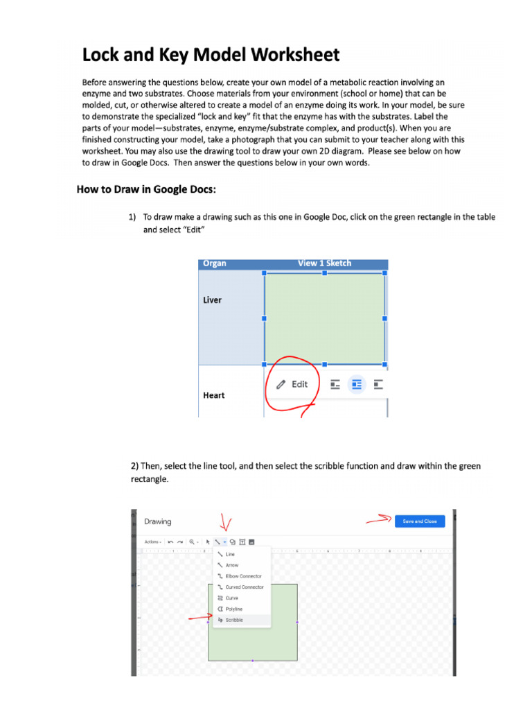 5.03.01 - Lock and Key Model Assignment-PZ. | PDF