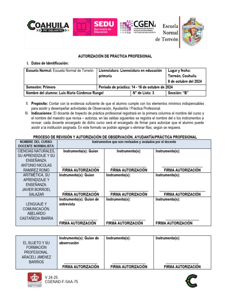 Plan de Trabajo 1.1 75 Cgenad-F-Saa-75!24!25 - Autorizacion Practica Profesional - 090521 | PDF ...