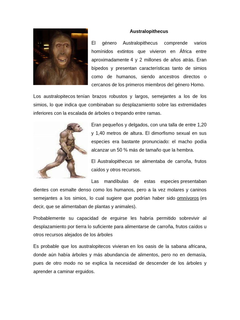 Australopithecus | PDF | Homo | Humano
