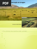 Processo de Produção de Feno | PDF | Feno | Agricultura