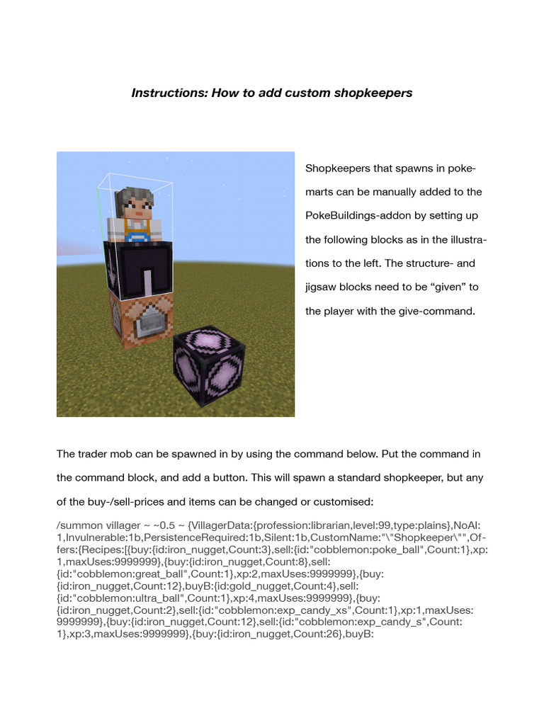 Custom Shopkeeper Setup Guide | PDF | Computer Science | Computing