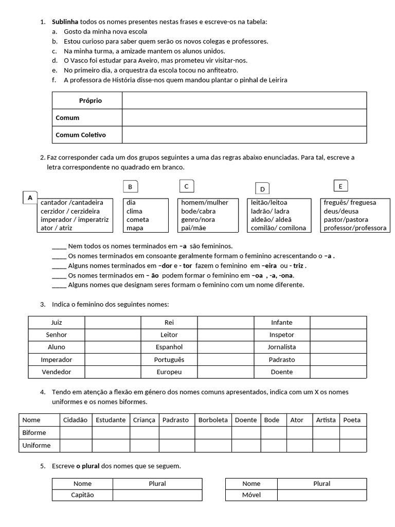 6º Gramat Nome, Femen, Masc, Plural, Grau, Clas, Sub, Adjet (JS 10) | PDF