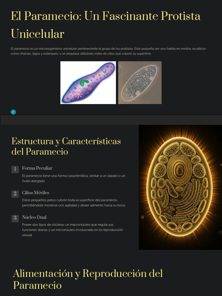Paramecio: Estructura y Alimentación | PDF