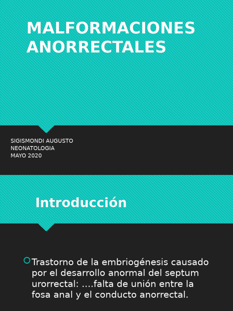Malformaciones Anorrectales | PDF | Especialidades Medicas | Anatomía