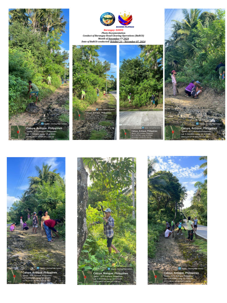 Barangay Dawis Road Clearing Report | PDF