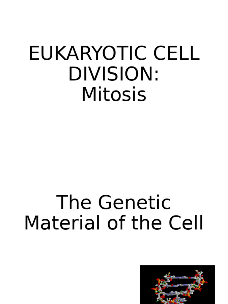 Eukaryotic Cell Division Mitosis | PDF