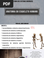Variações Anatômicas do Seio Transverso | PDF | Seio