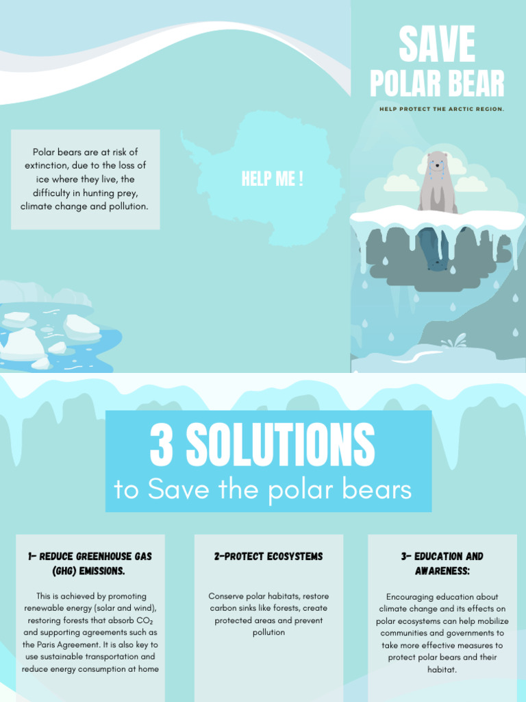 Brochure Polar Bear | PDF