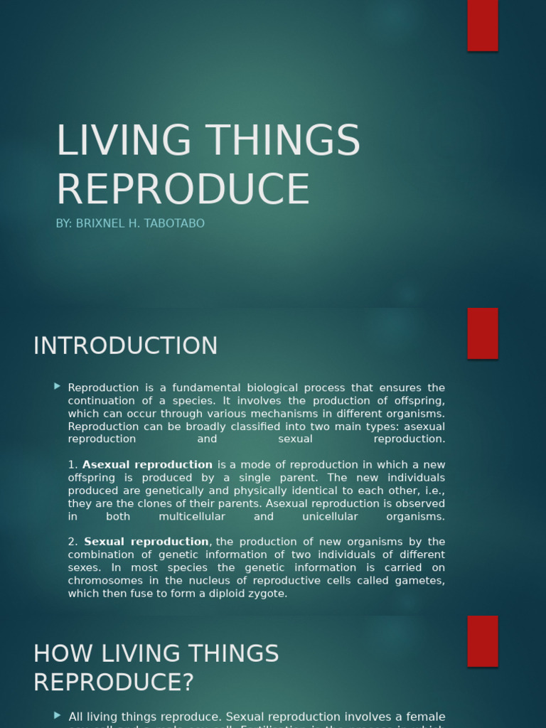 Living Things Reproduce | PDF | Sexual Reproduction | Reproduction