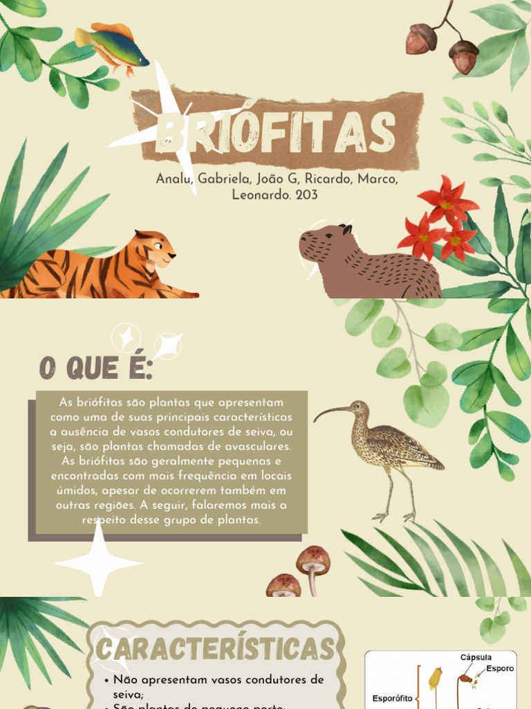 Biologia 20241016 150058 0000 | PDF