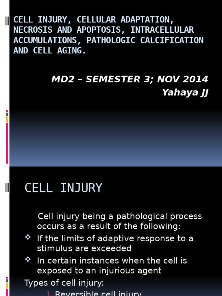 Cell Injury and Adaptation Mechanisms | PDF | Apoptosis | Necrosis