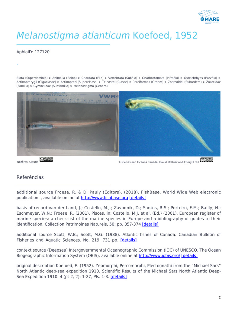 Melanostigma-atlanticum | PDF