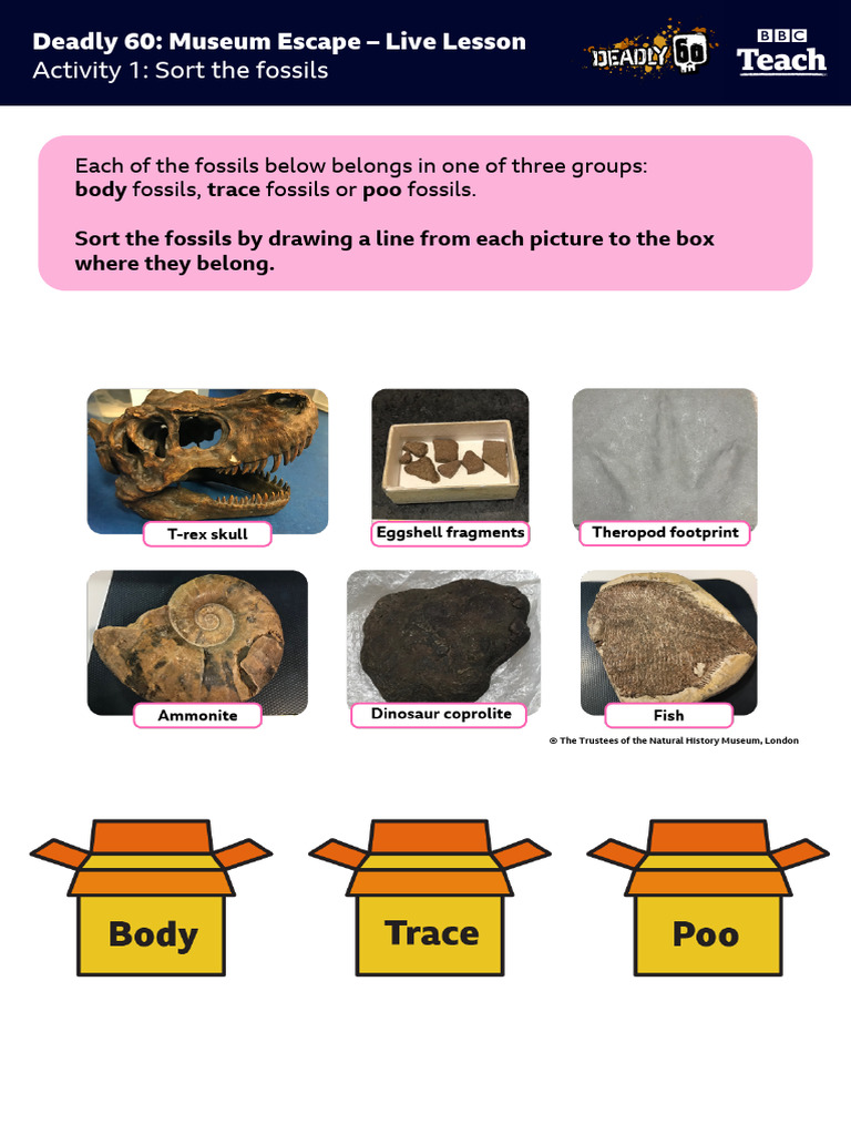 Escape From The Museum Activities 1 2 3 | PDF