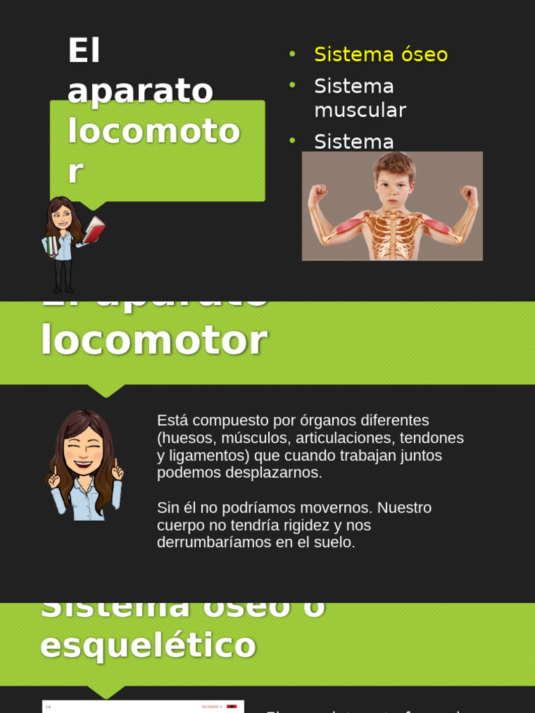 Sistema óseo y muscular para niños | PDF