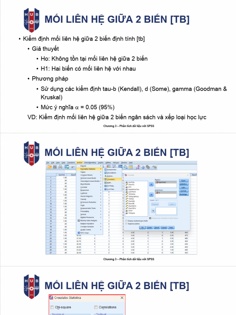 C3-Cong Cu Phan Tich Du Lieu V I SPSS | PDF