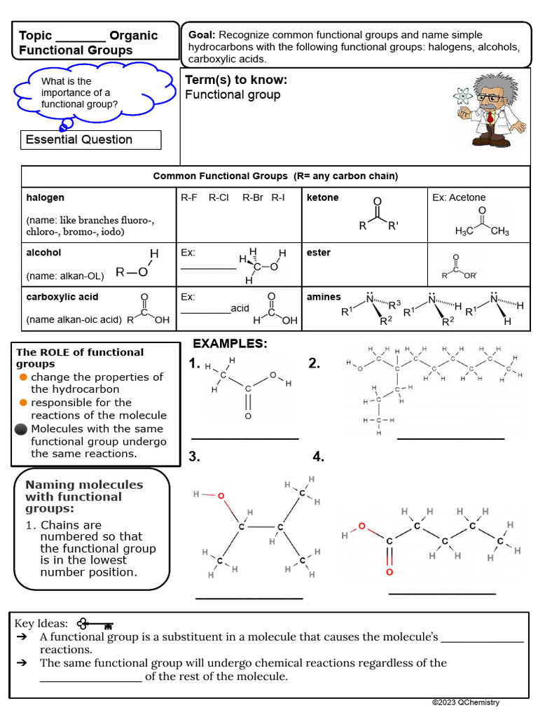 Functional Groups in Hydrocarbons | PDF