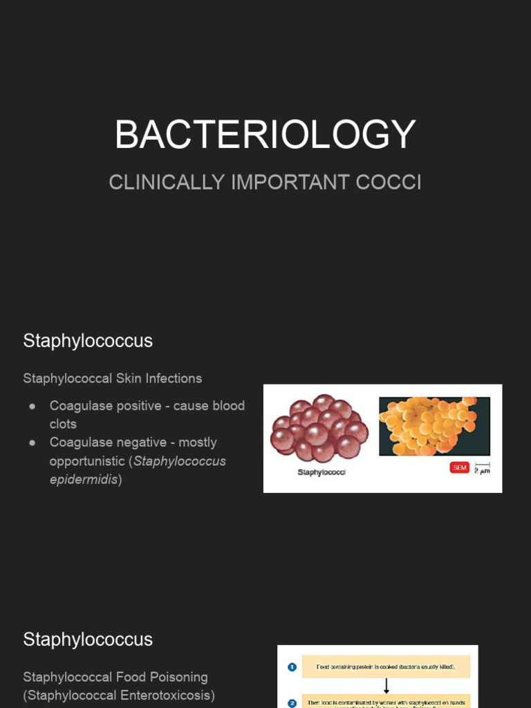 Clinically Important Cocci | PDF