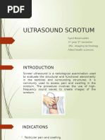 Lec 8-Normal Scrotal Ultrasound | PDF | Testicle | Anatomy