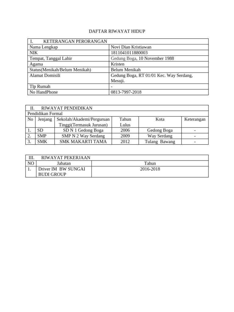 Daftar Riwayat Hidup Mesuji | PDF