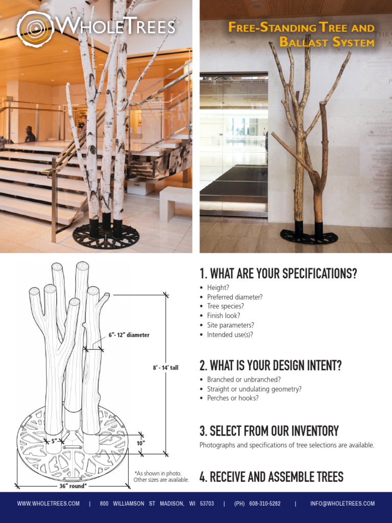WholeTrees Free Standing Trees | PDF | Trees | Lumber