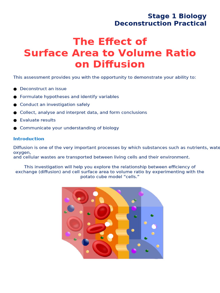 _Stage 1 Biology Summative Practical 2024 | PDF | Experiment | Observational Error