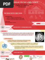 Hallazgos Radiológicos en Neurocisticercosis | PDF | Especialidades ...