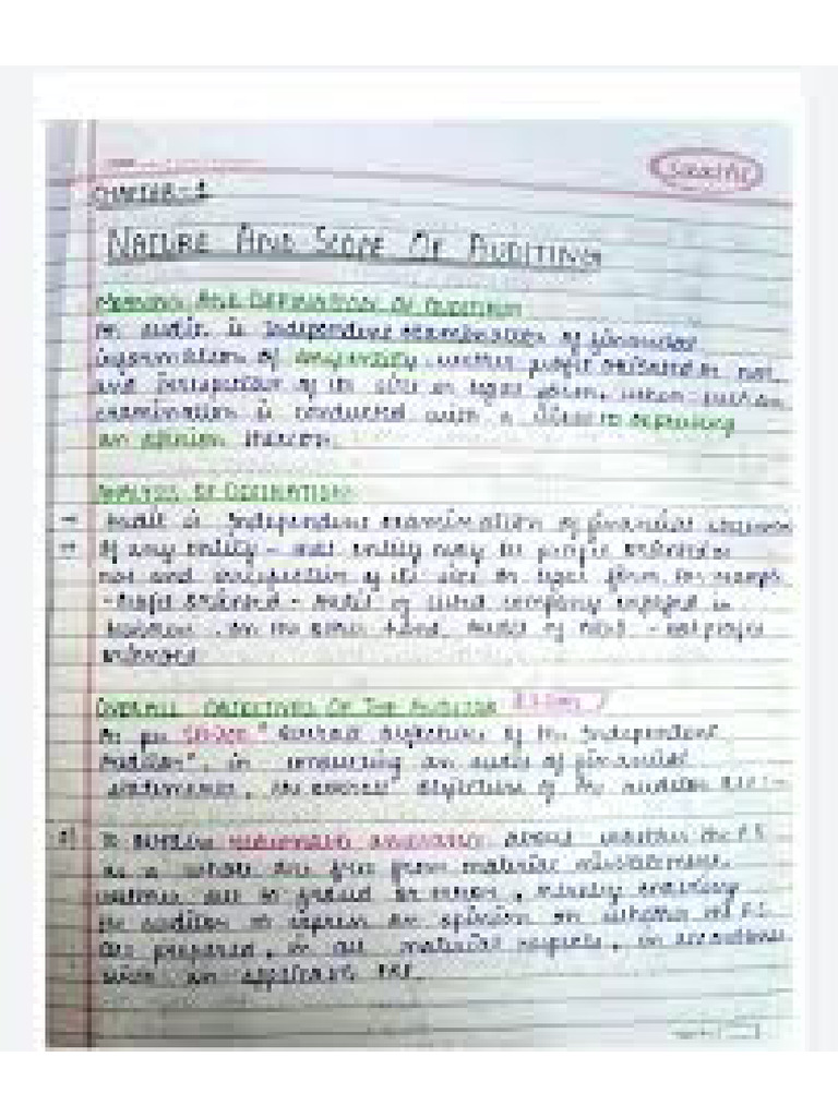 Audit Notes | PDF