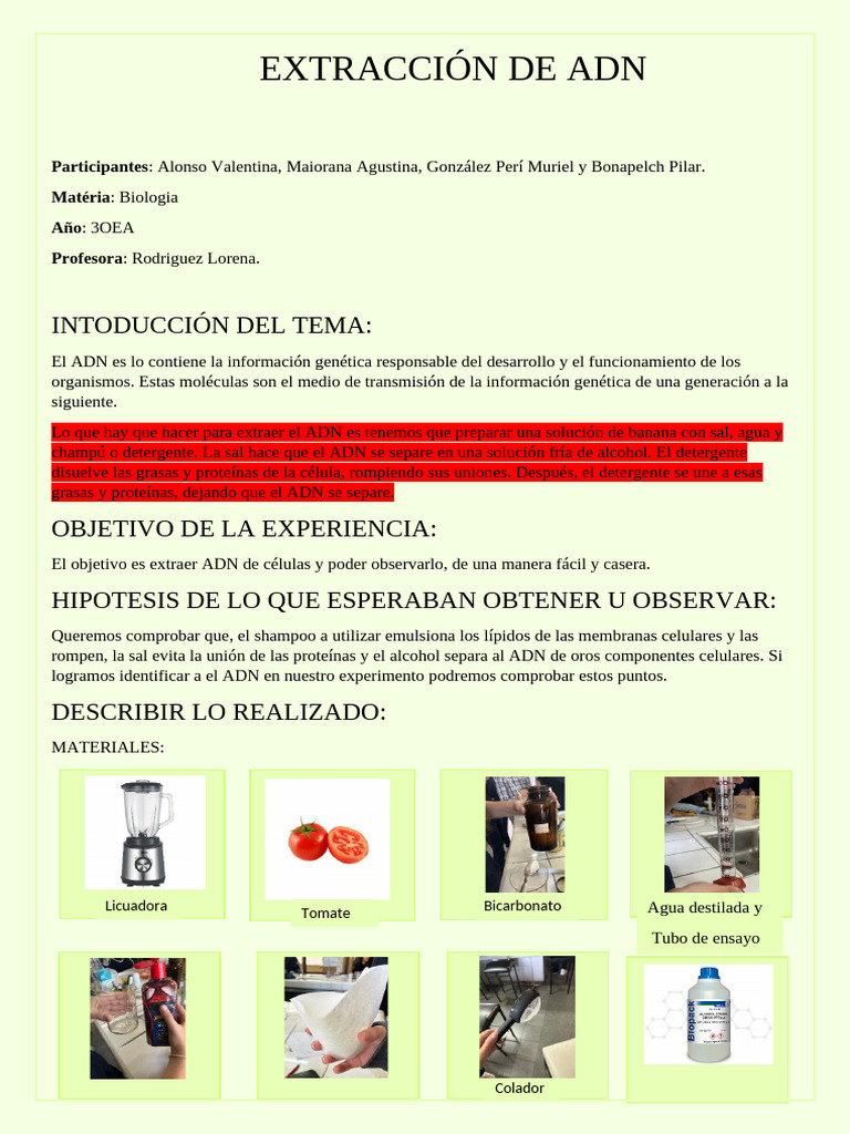 Extracción Casera de ADN | PDF | Adn | Biología Celular)
