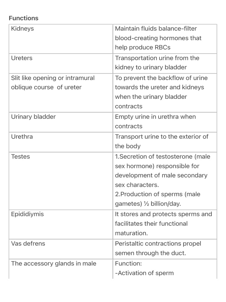 Functions anatomy 3 | PDF | Larynx | Stomach