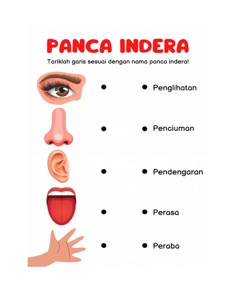 Panca Indera | PDF