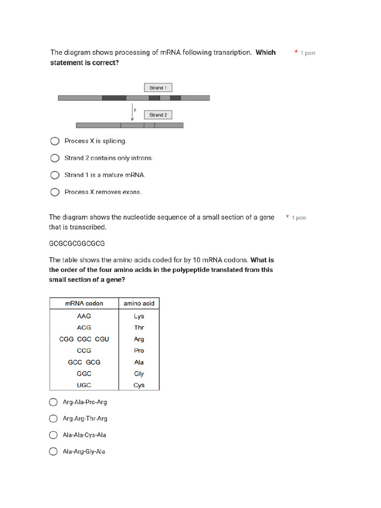 Chapter 3 Nucleic Acid&protein Synthesis | PDF