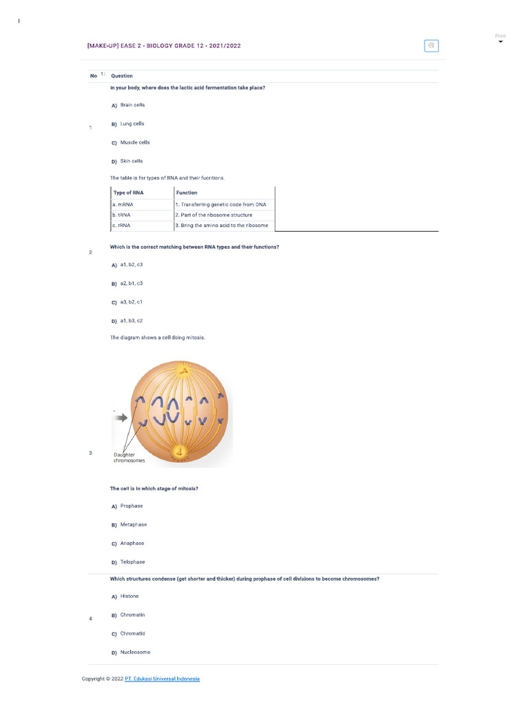 chapter 4 cell division (2) | PDF
