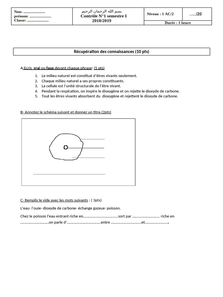 Contrôle SVT 1AC Semestre 1 | PDF | La nature