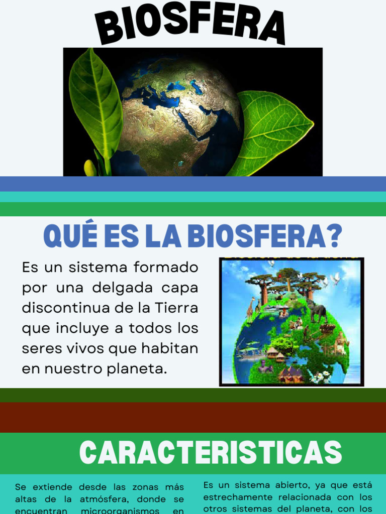 BIOSFERA | PDF
