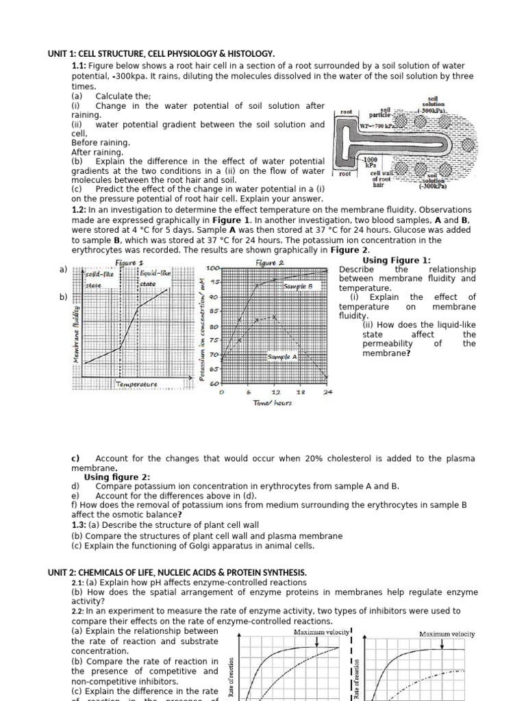 ATOM KYADONDO A level | PDF | Cell Membrane | Enzyme