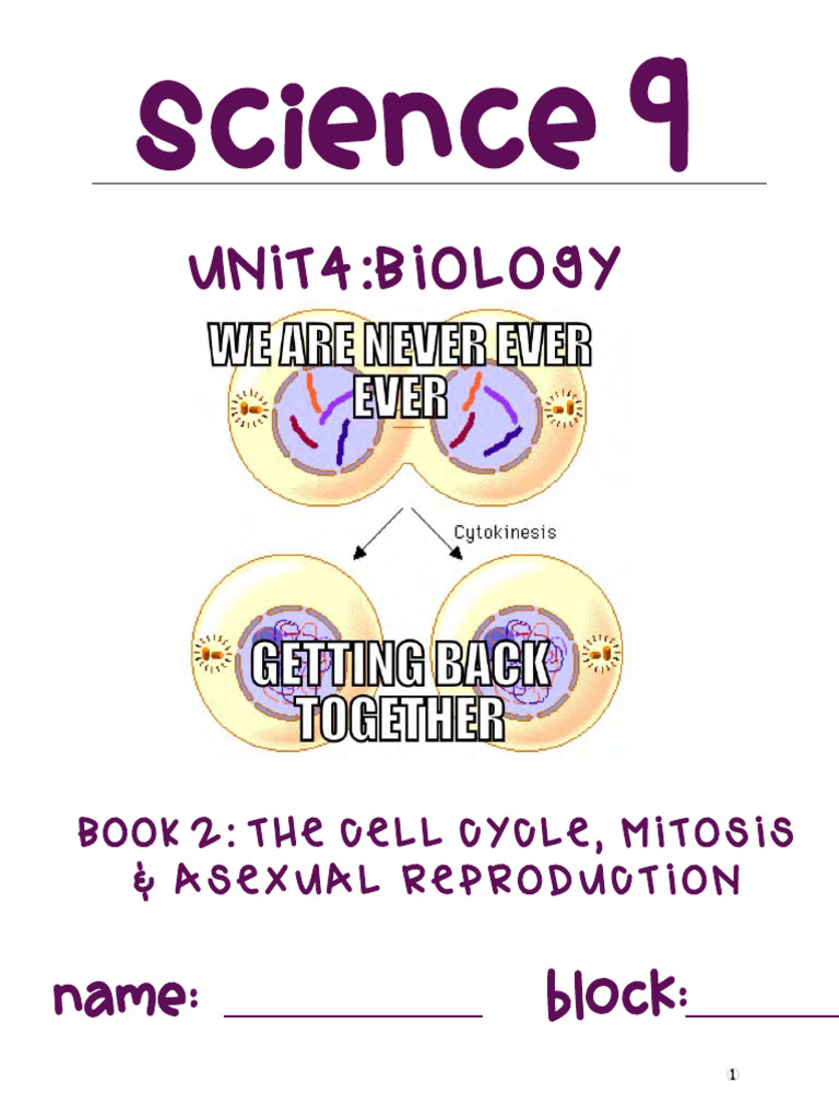 chapter 4 cell division | PDF | Mitosis | Meiosis