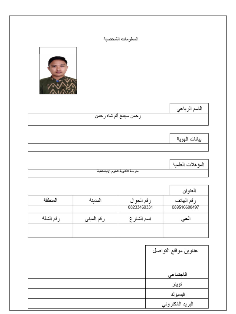 CV Arab | PDF