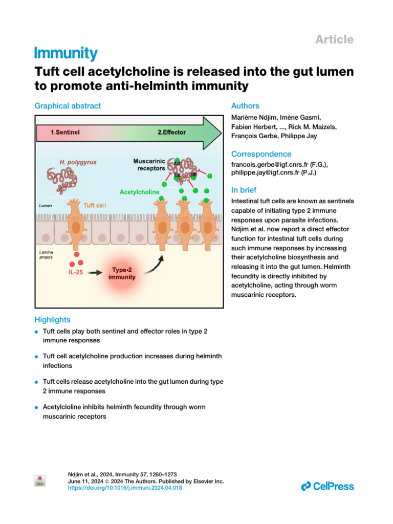 Tuft Cell Acetylcholine in Gut Immunity | PDF | Acetylcholine ...