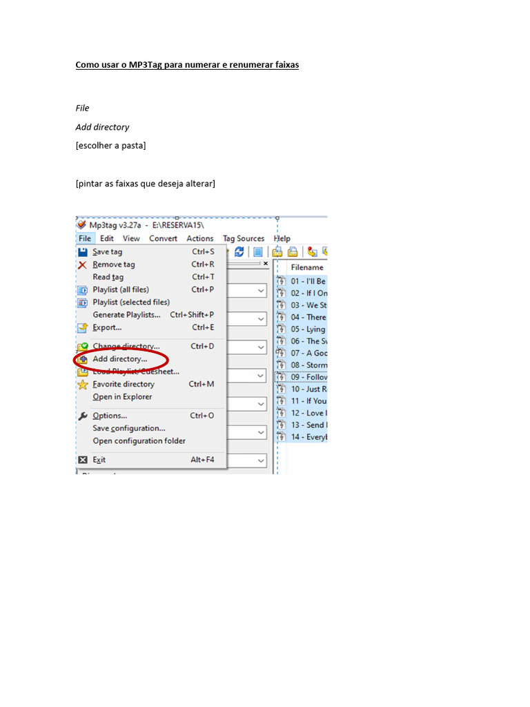 Como Usar o MP3Tag para Numerar e Renumerar Faixas | PDF