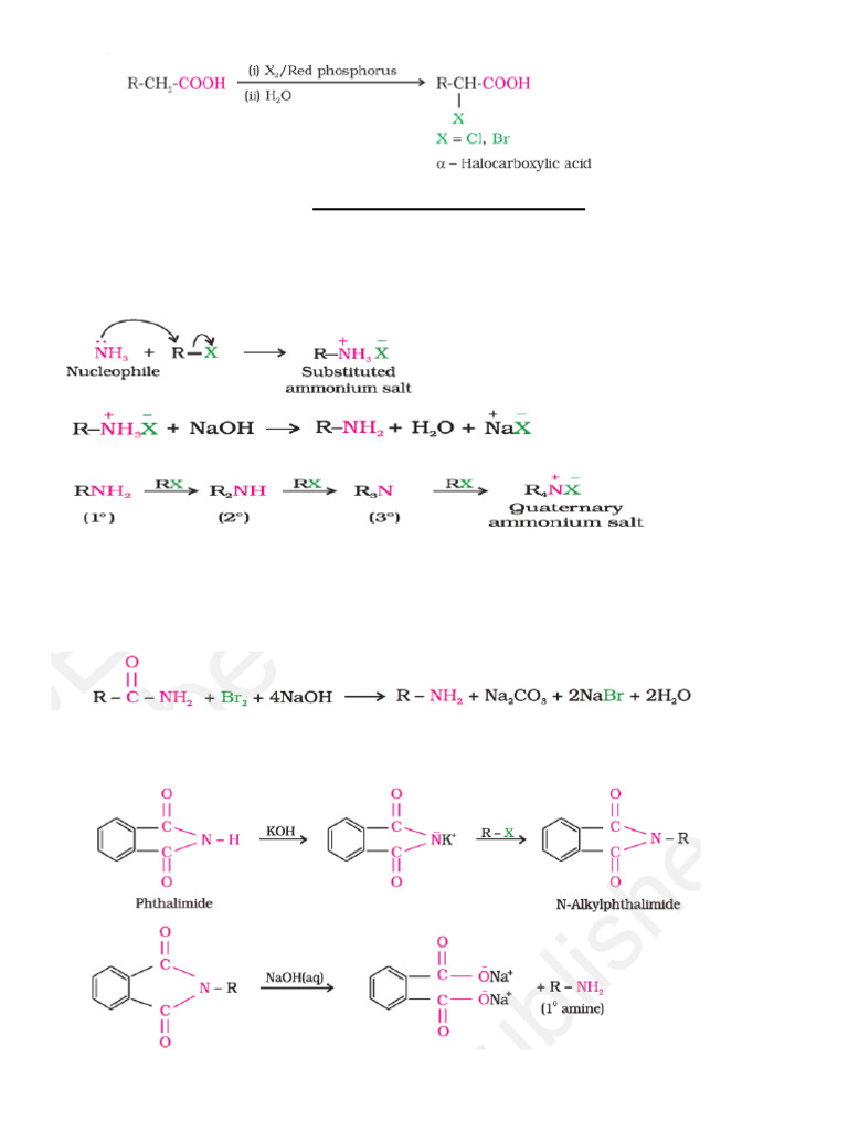 Split_20250110_0818_2 | PDF