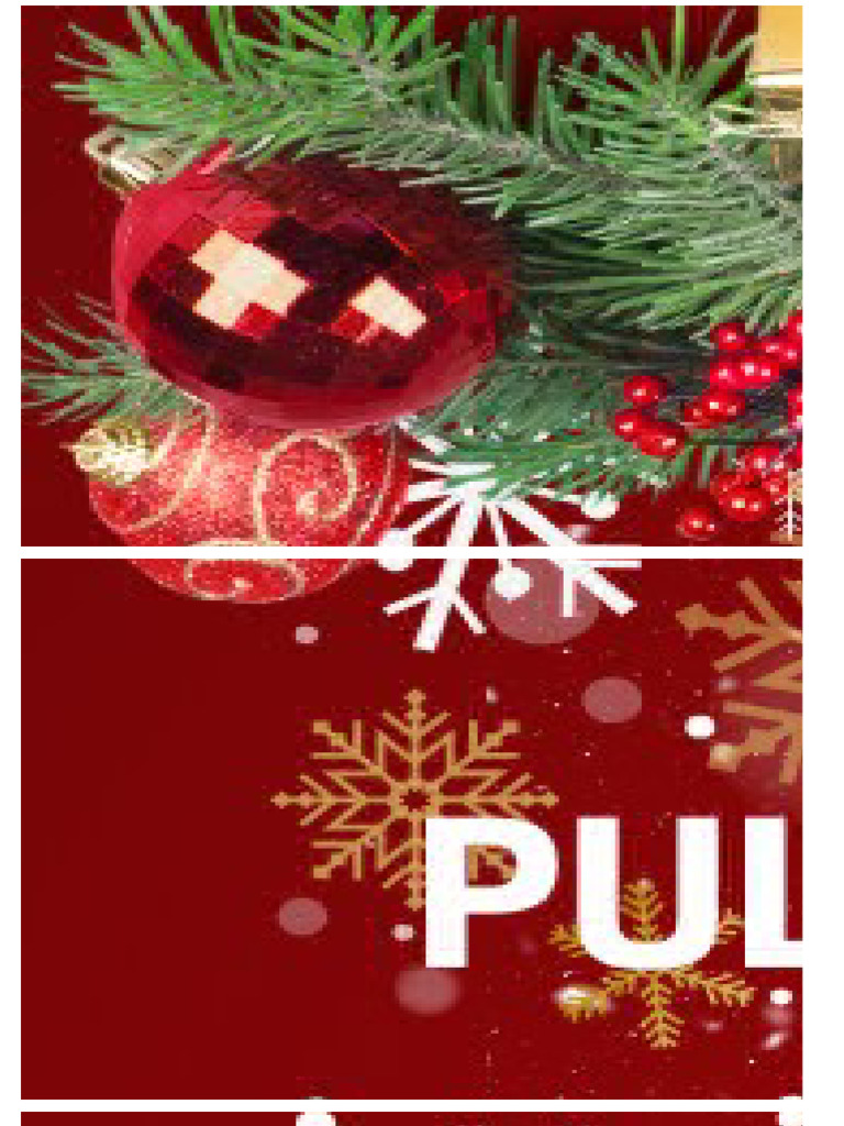 Christmas Party Tarp | PDF