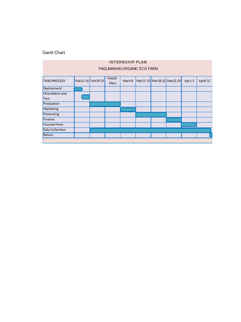 Gantt Chart | PDF