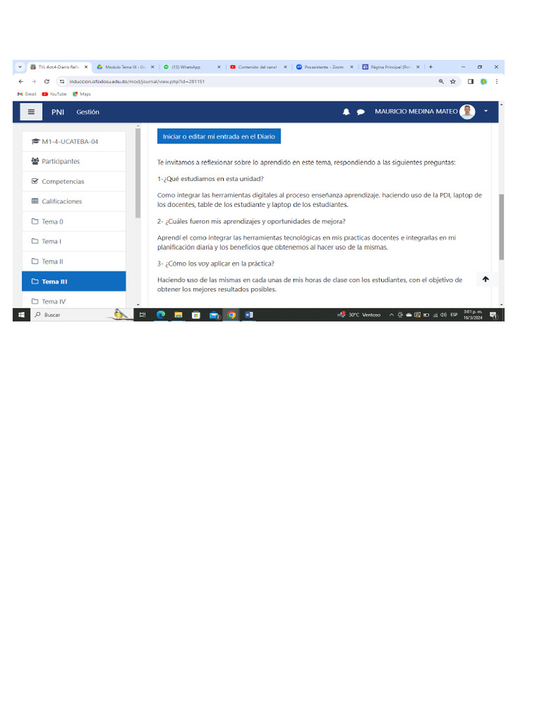 TIII. Act.4-Diario Reflexivo Tema III | PDF