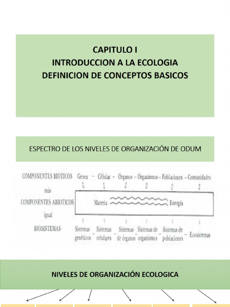 Ecologia Conceptos Basicos | PDF