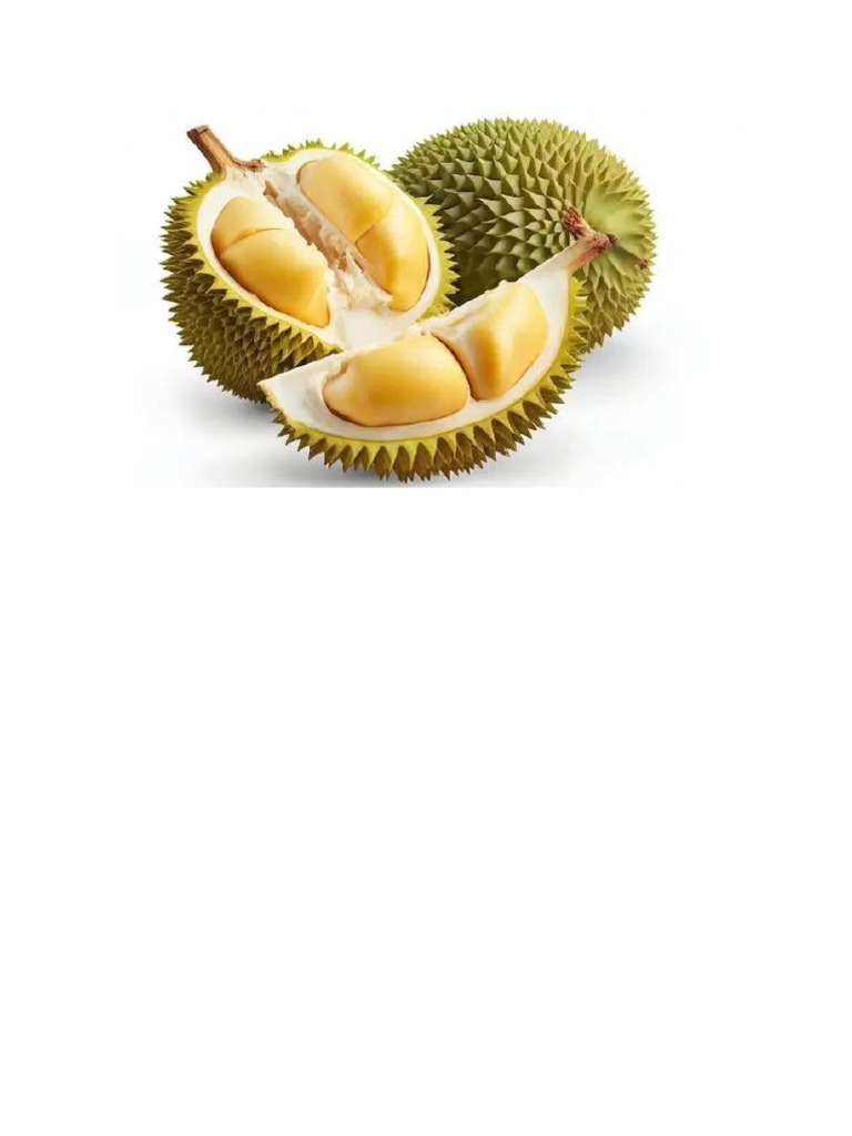 durian | PDF