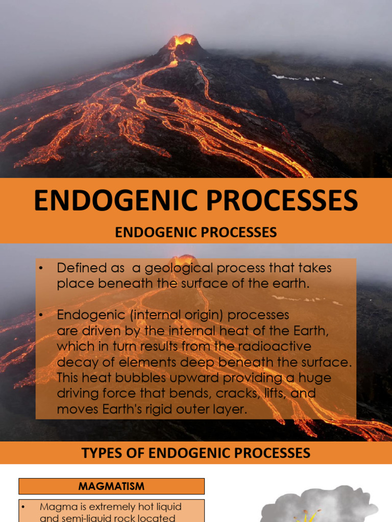 Lesson 2.2 - Endogenic Processes | PDF | Plate Tectonics | Magma