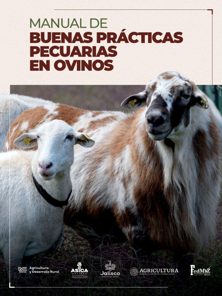 Buenas_Prácticas_Pecuarias_en_Ovinos-2024-04-25-13-24-22 (1) | PDF | Oveja | Techo
