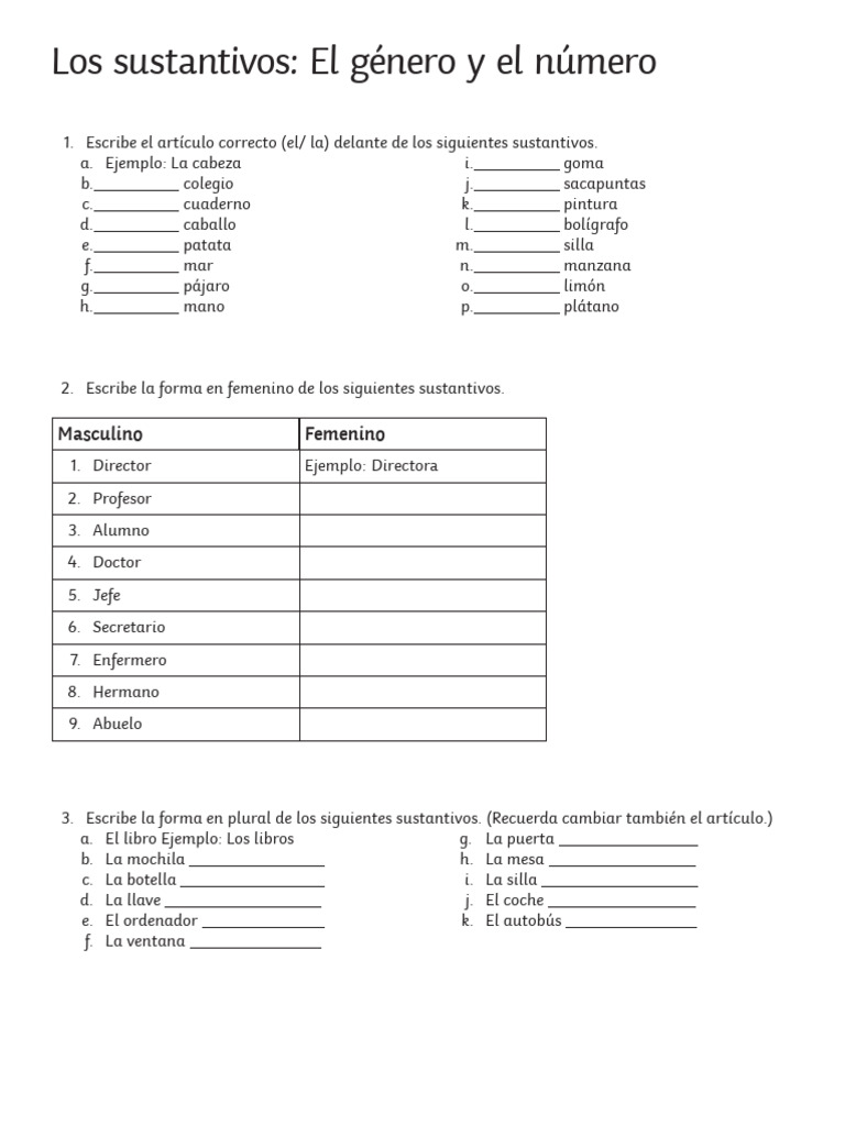 Spanish Nouns Gender and Number Activity | PDF