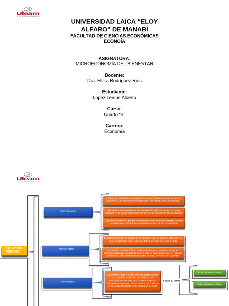 Actividad Micro Mapa Conceptual | PDF