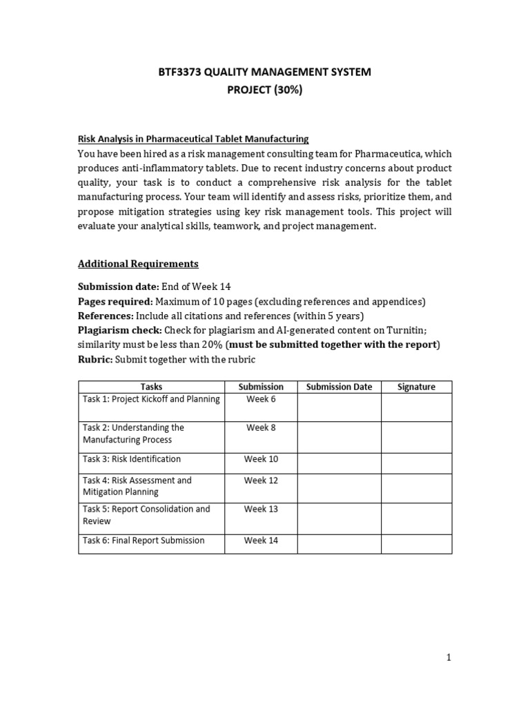 QMS Project - Risk Assessment | PDF